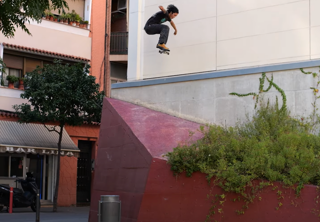 Cato Dobbs - Thunder Trucks – Sunday Hardware